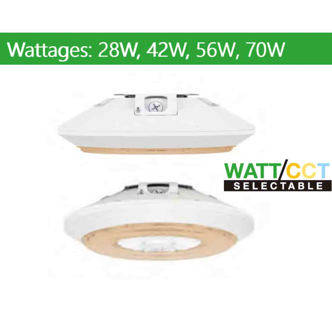 LED Emergency Battery Backup White Garage Canopy Fixture