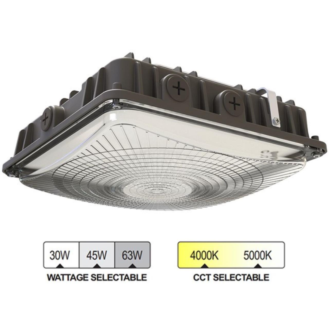 10" LED Canopy Light Fixture | Energy-efficient & Waterproof