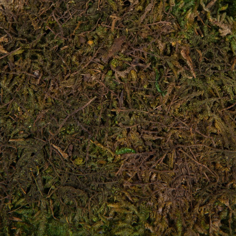 Vickerman H1MTR150 | Green Moss Sheet | 8 oz./Tray