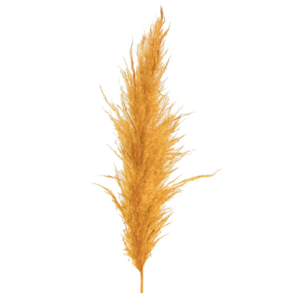 Vickerman H2PPS725-6 | 46" Aspen Gold Pampas Grass 6Pk