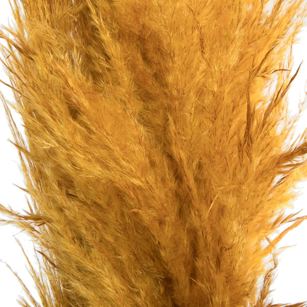 Vickerman H2PPS725-6 | 46" Aspen Gold Pampas Grass 6Pk