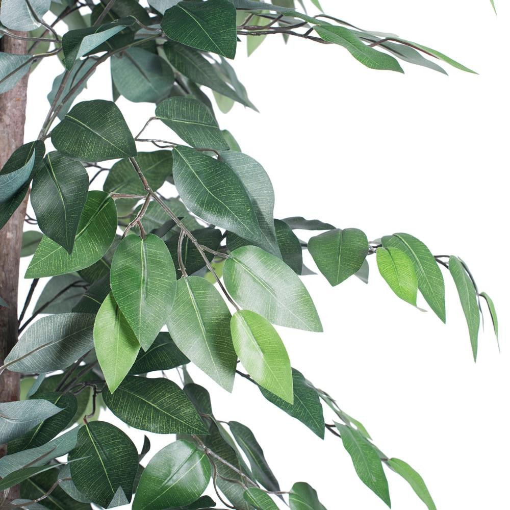 Vickerman TEC0160-07 | 6ft Artificial Ficus Tree