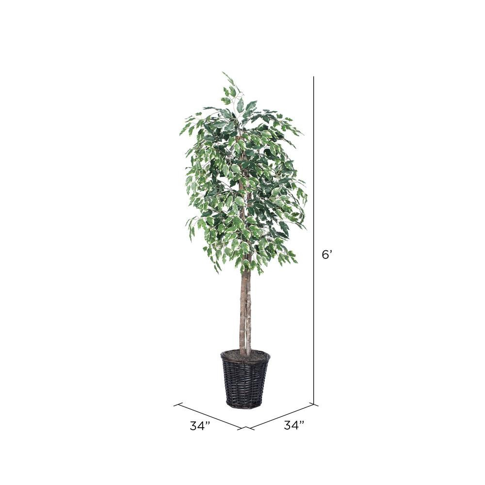Vickerman TEC0260 | 6ft Variegated Artificial Ficus Tree