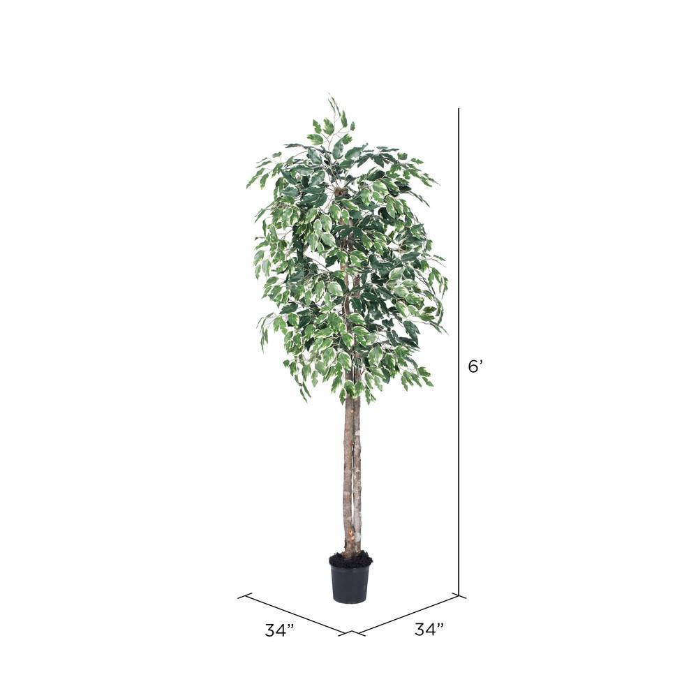 Vickerman TEC0260-07 | 6ft Variegated Artificial Ficus Tree