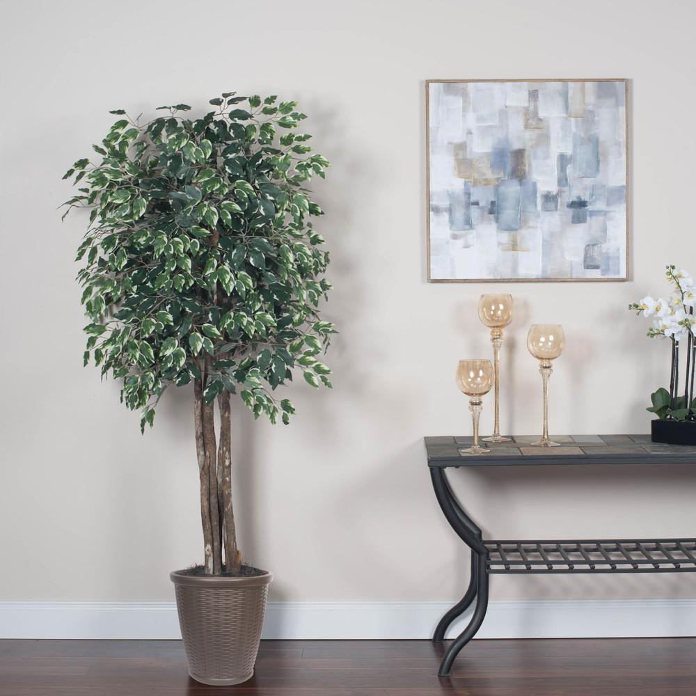 Vickerman TEX0260 | 6ft Variegated Artificial Ficus Tree