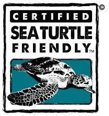 Sea Turtle Friendly Black LED Light Fixture | Wall Mount