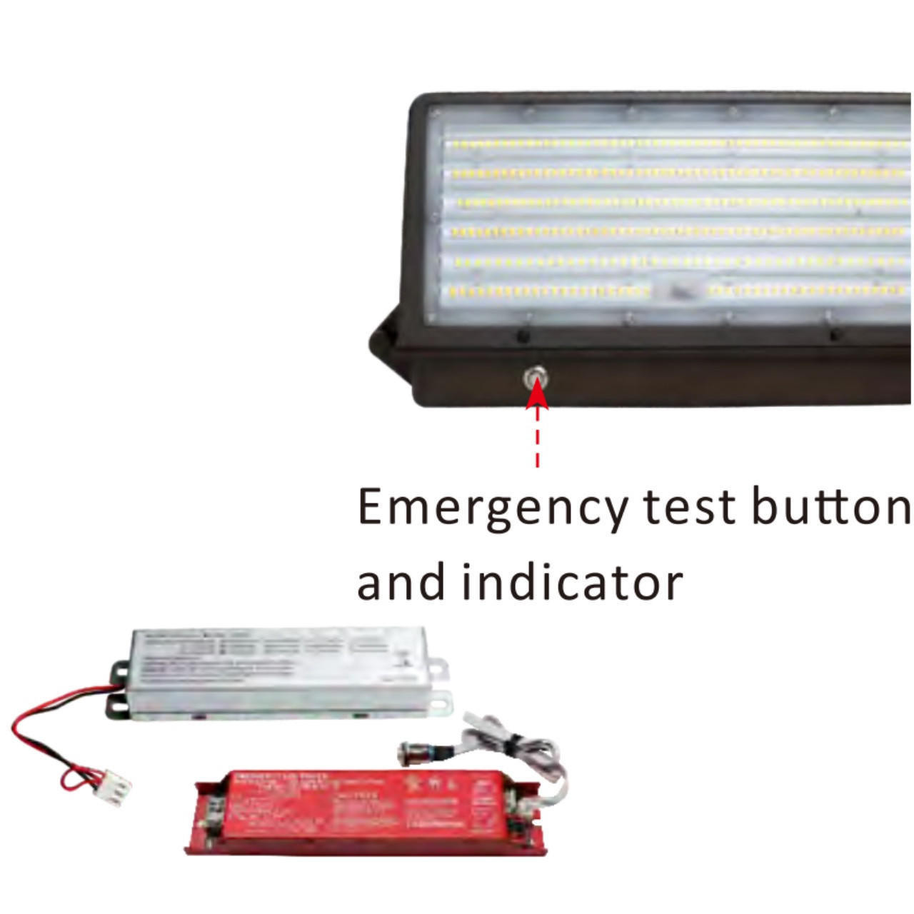 Bronze Large LED Wall Pack with Emergency Backup | Full Cutoff