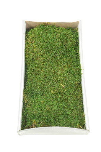 Vickerman H1MTR150 | Green Moss Sheet | 8 oz./Tray