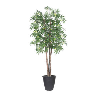 Vickerman TDX1860-RG | 6ft Artificial Japanese Maple Tree