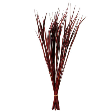 Vickerman H2SPG475 | 28" Red Splinter Grass - 11 oz.