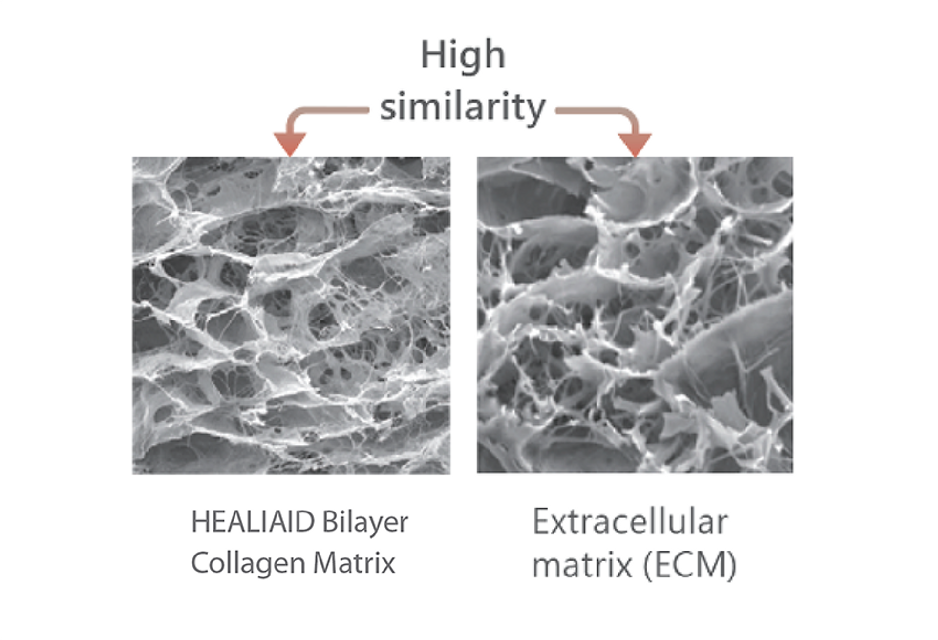 Healiaid Bilayer Collagen Matrix I Ad Surgical