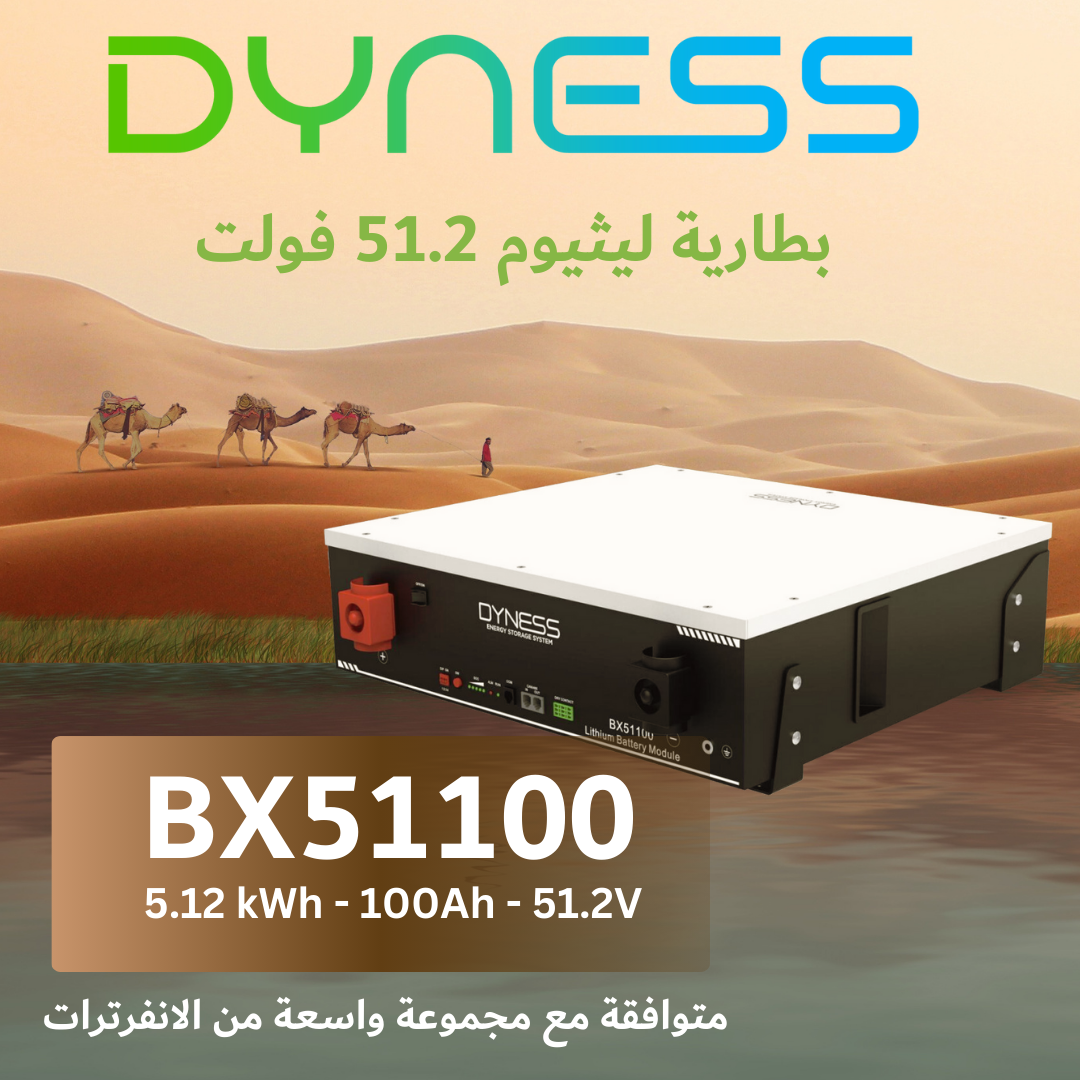 Dyness BX51100 Revolutionize Your Energy Storage with Dyness BX51100 ...