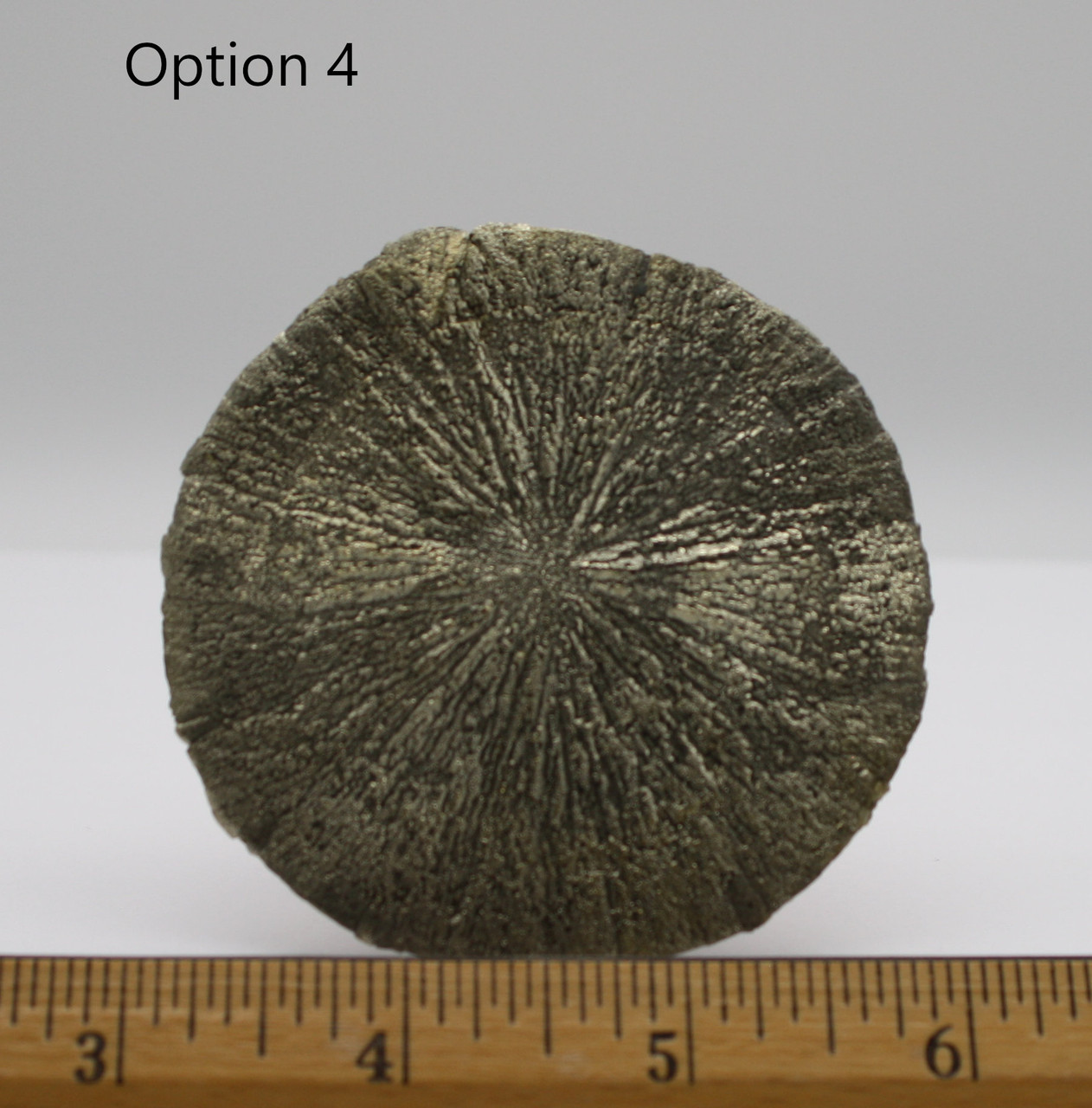 Pyrite Suns