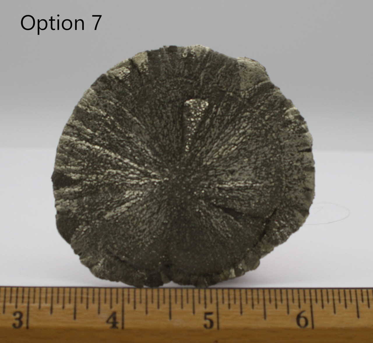 Pyrite Suns
