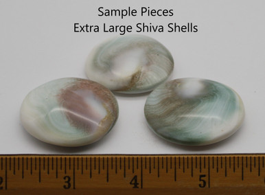 Shiva Shells