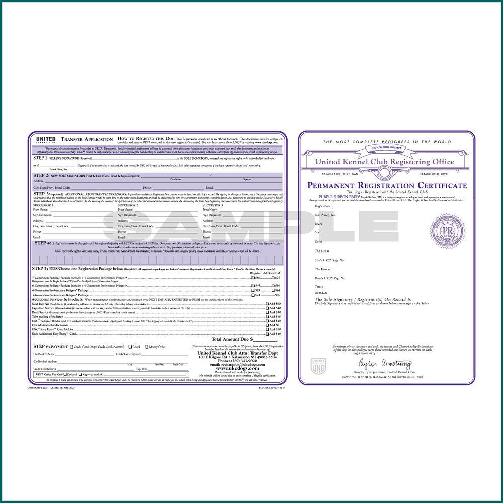What Are Pedigree Papers For Dogs
