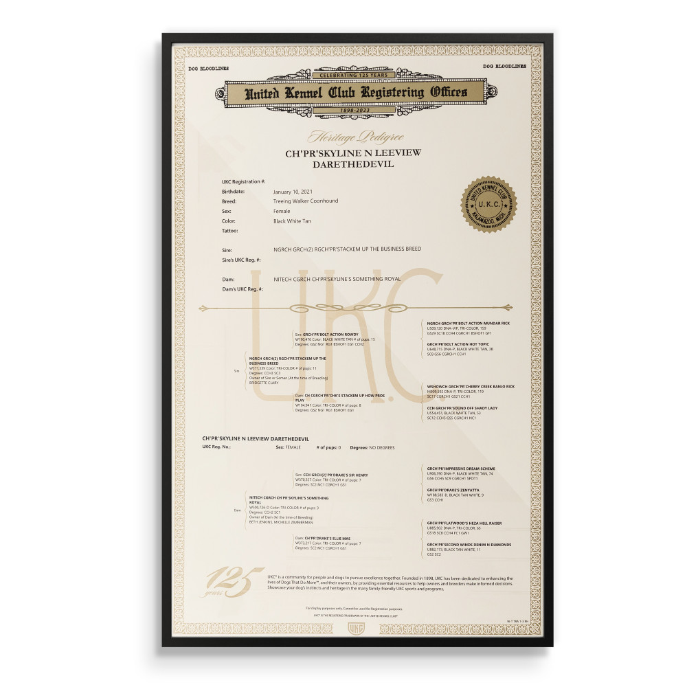 Heritage Display Pedigree - 3 Generation Heritage Display Pedigree - 3 Generation
