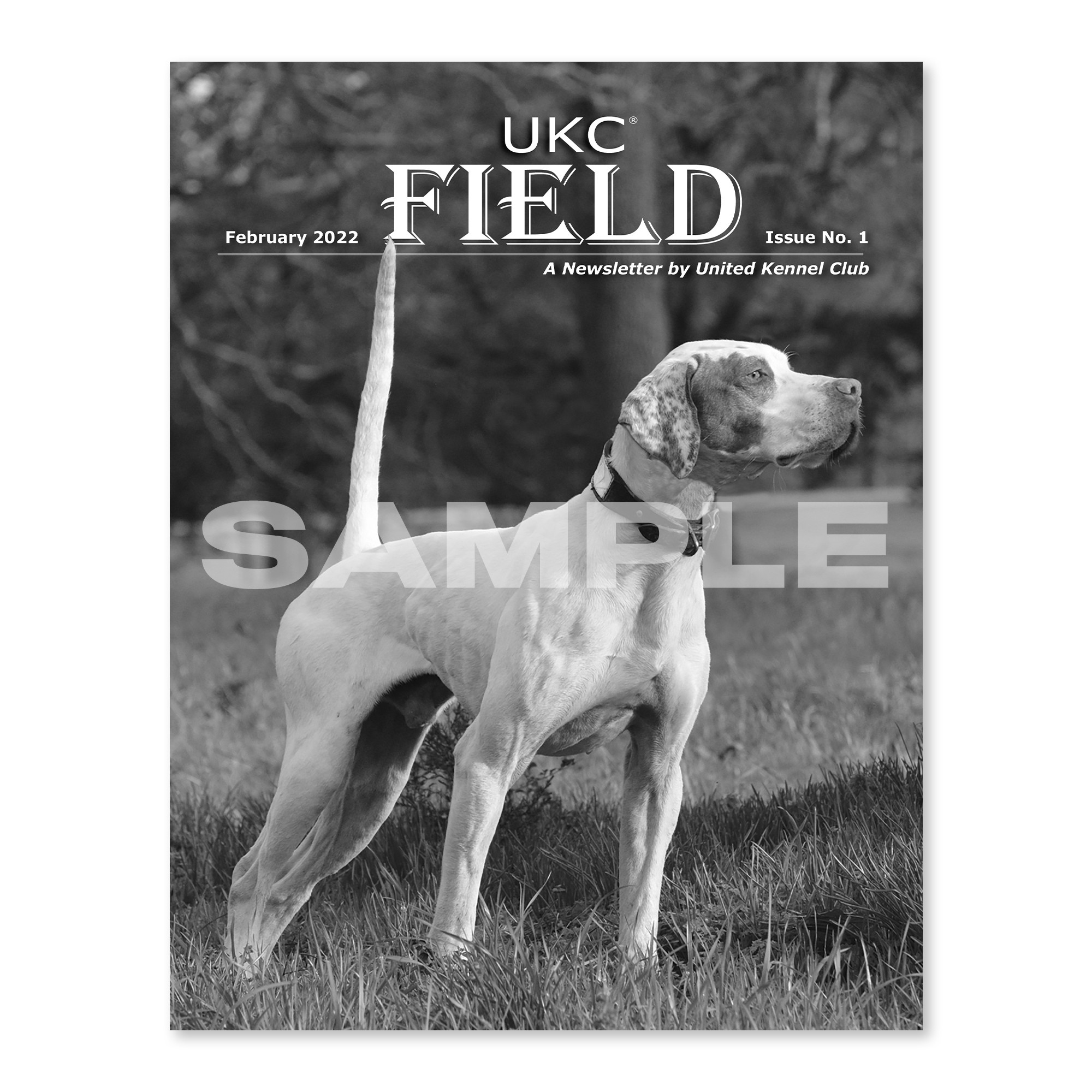 Publications - UKC® Field - United Kennel Club