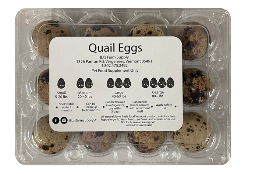 Fresh Quail Eggs One Dozen - Vermont Pet Food and Supply