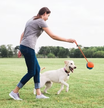 Chuckit Rope Fetch - Vermont Pet Food and Supply
