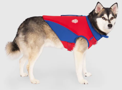 High Tide Life Jacket Red Blue Size 26 - Vermont Pet Food and Supply