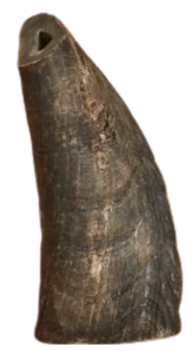 Canophera Dog Chew Sheep Horn Large - Vermont Pet Food and Supply