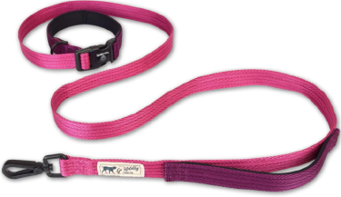 Hamilton Leash Get Out & Go Wild Berry Rose & Wine 1 6' - Vermont Pet ...