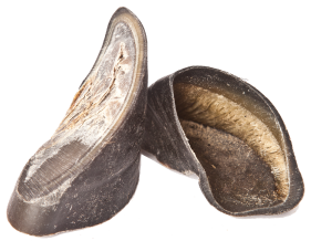Nature's Own Moo Shoes (Cow Hoof) Dog Treat - Vermont Pet Food and Supply
