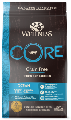 Wellness Core Ocean Fish Dog Food 4lb - Vermont Pet Food and Supply