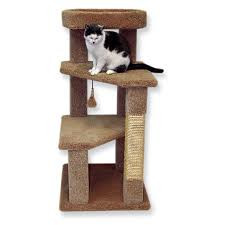 Beatrise Kitty Villa 22x20x46H - Vermont Pet Food and Supply