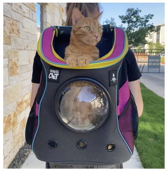 Travel Cat Stray x Travel Cat Backpack Limited-Edition - Vermont Pet ...