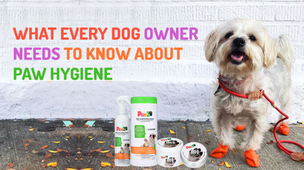 Paw protection needs can vary from season to season. - Vermont Pet Food ...