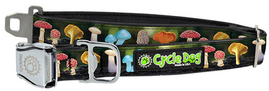 Cycle Dog FattyWidth 1.5" Collar Mushroom Large - Vermont Pet Food and ...
