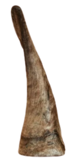 Canophera Dog Chew Sheep Horn Extra Small - Vermont Pet Food and Supply