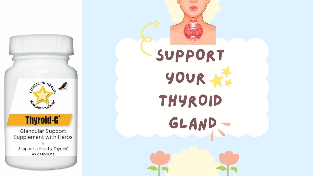 The Critical Functions of Your Thyroid Gland - Powerline Health