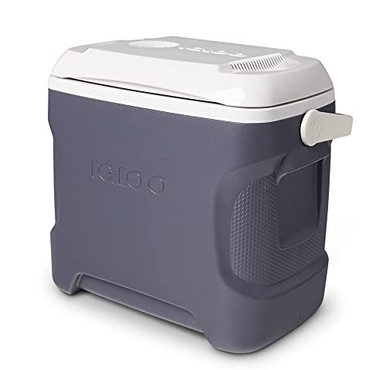 Portable Electric Coolers, 12v Cooler, Iceless Plug in Cooler ...
