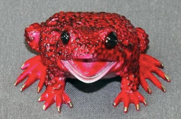 Frogs At Wildlife Wonders Wildlife Wonders Frogs At Wildlife Wonders Wildlife Wonders