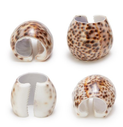 Set of 4 Tiger Cowrie Shell Napkin Holders | Two's Company