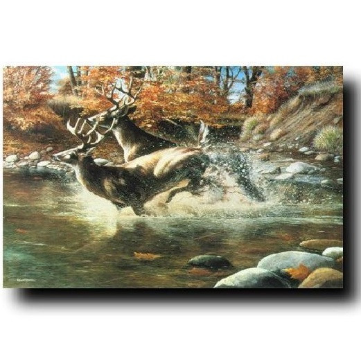 Deer Print | On The Run | Kevin Daniel