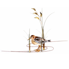 Bovano of Cheshire | Enameled Copper Wall Art | Copper Wall Sculptures