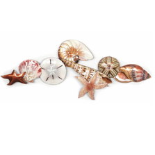 Bovano of Cheshire | Enameled Copper Wall Art | Copper Wall Sculptures