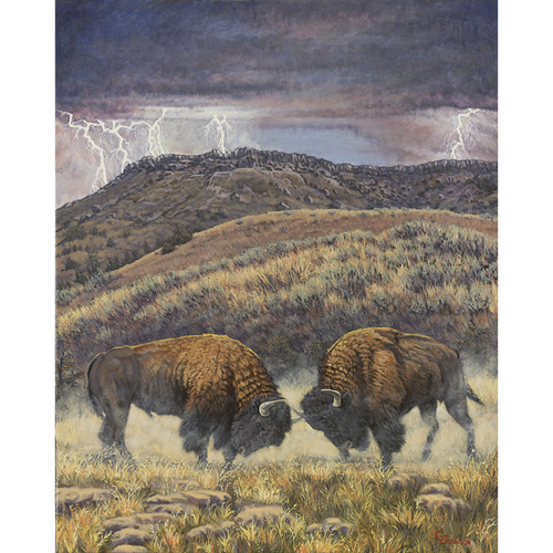 Bison Print | Ready To Rumble | Gary Johnson