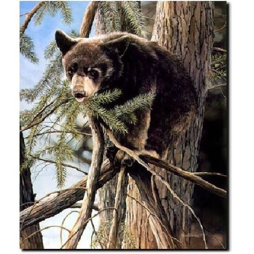 Bear Print | Out on a Limb | Kevin Daniel | WildlifeWonders.com