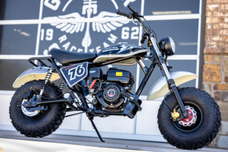 TrailMaster Hurricane 200X Minibike