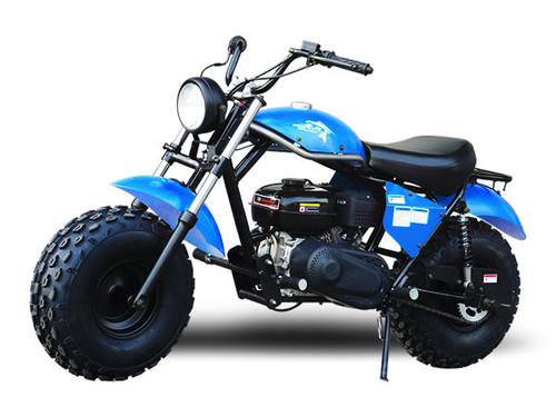 TrailMaster MB200-2 Minibike