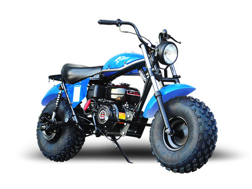 TrailMaster MB200-2 Minibike