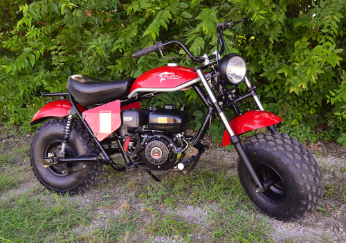 TrailMaster MB200-2 Minibike