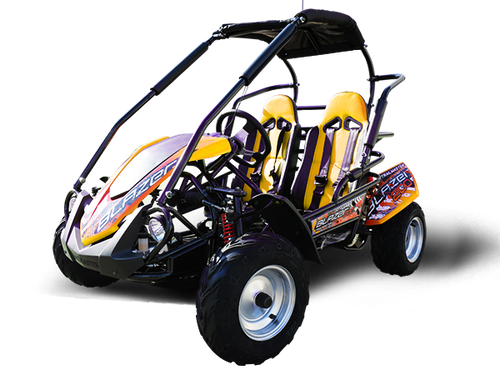 Trailmaster Blazer 200 Go-Kart