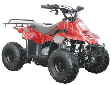 TrailMaster Mini 110cc Sport ATV, T110, 3050C 4-Wheeler
