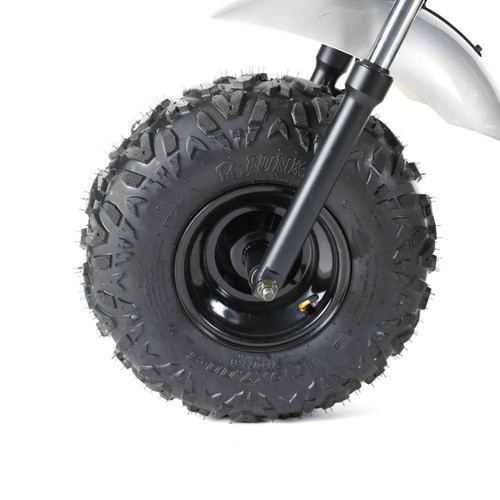 TrailMaster Hurricane 200 Pro Minibike